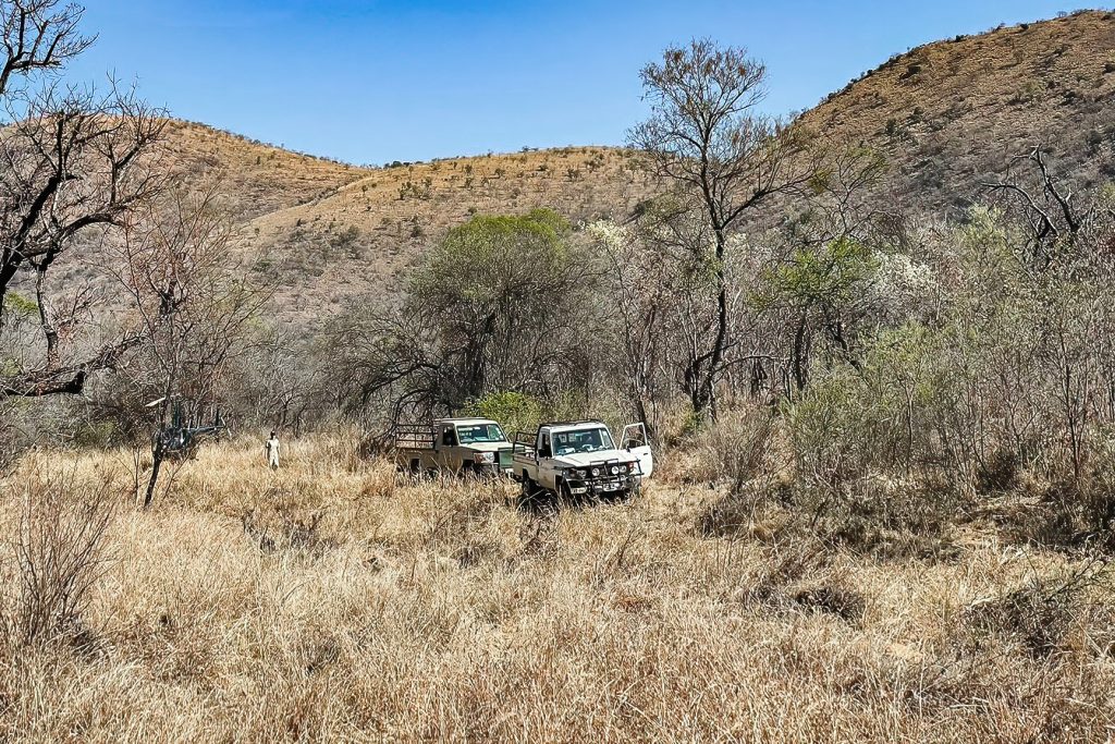 Landscape Restoration - WeWild Africa